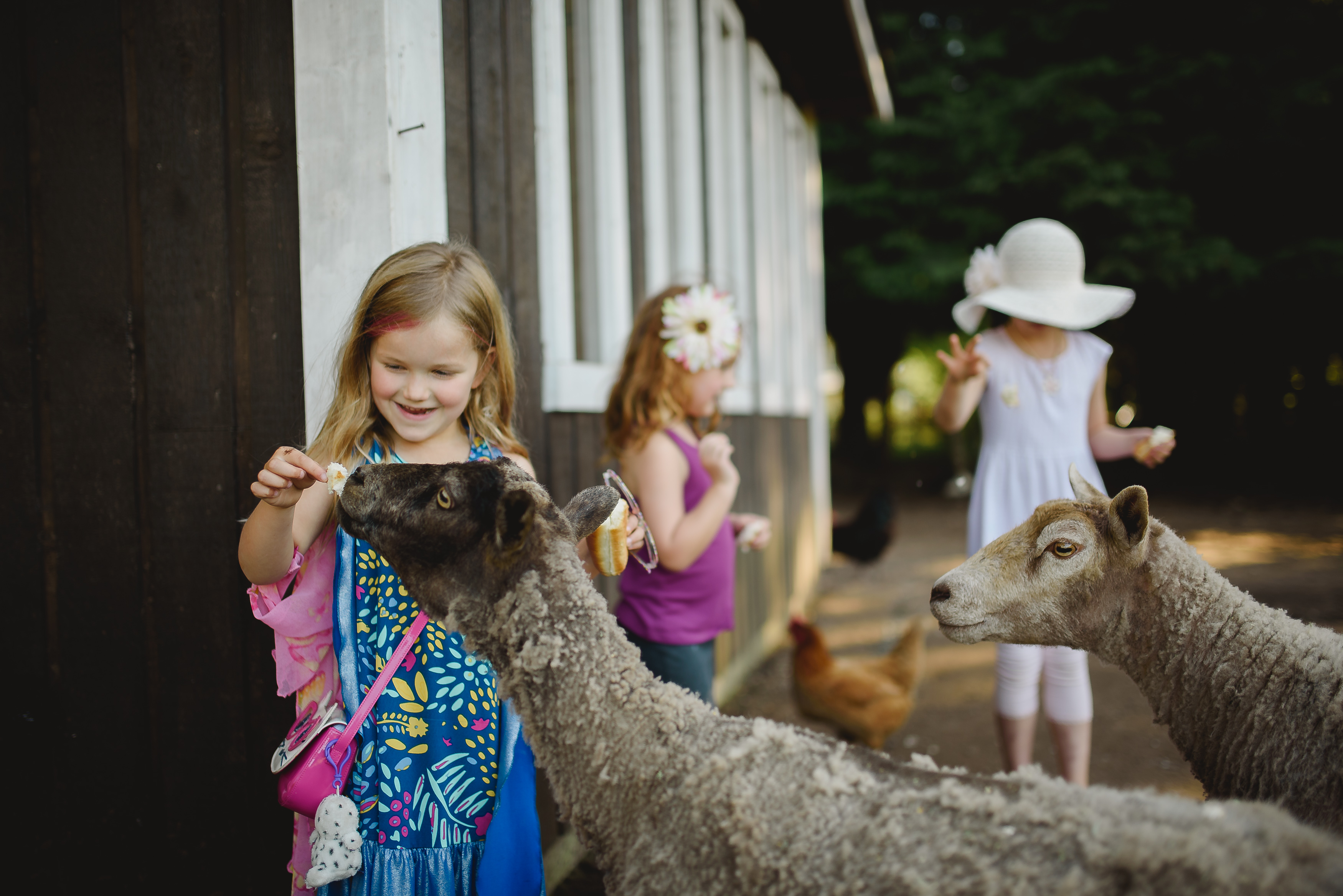 Field Trips – holly hill farm